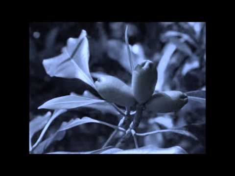 Ezel ip attimda ucu kaldi