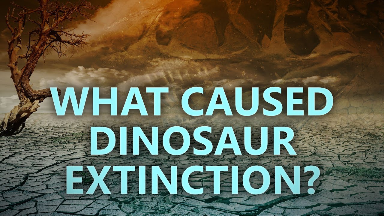 What caused dinosaur extinction? - YouTube