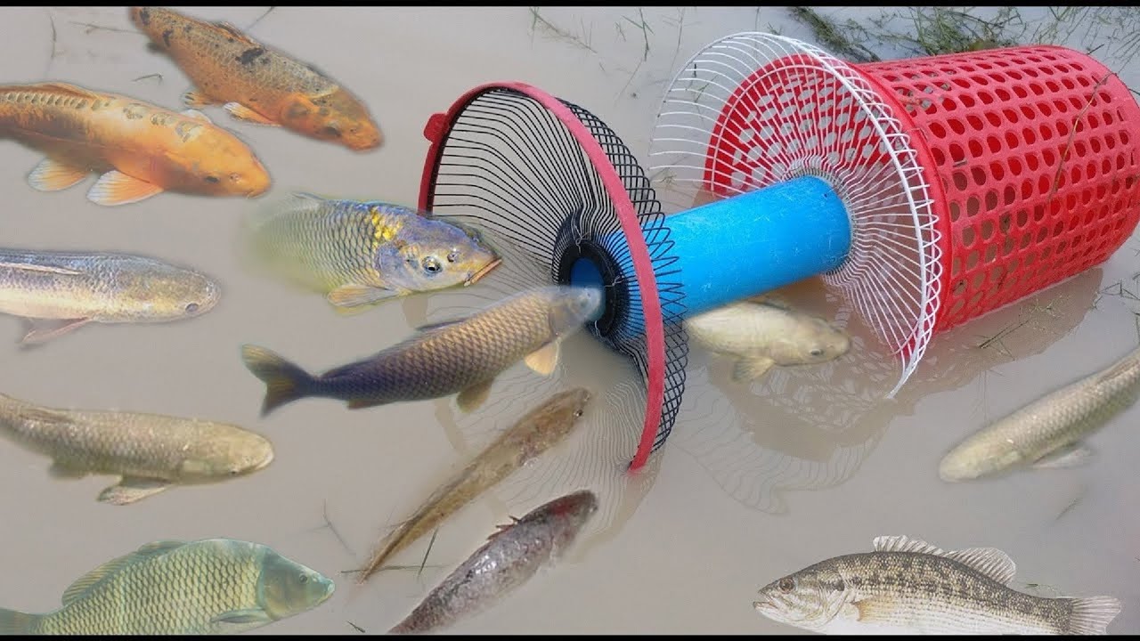 Wow!! Amazing Electric Fan Guard Fish Trap - Electric Fan Guard Deep ...