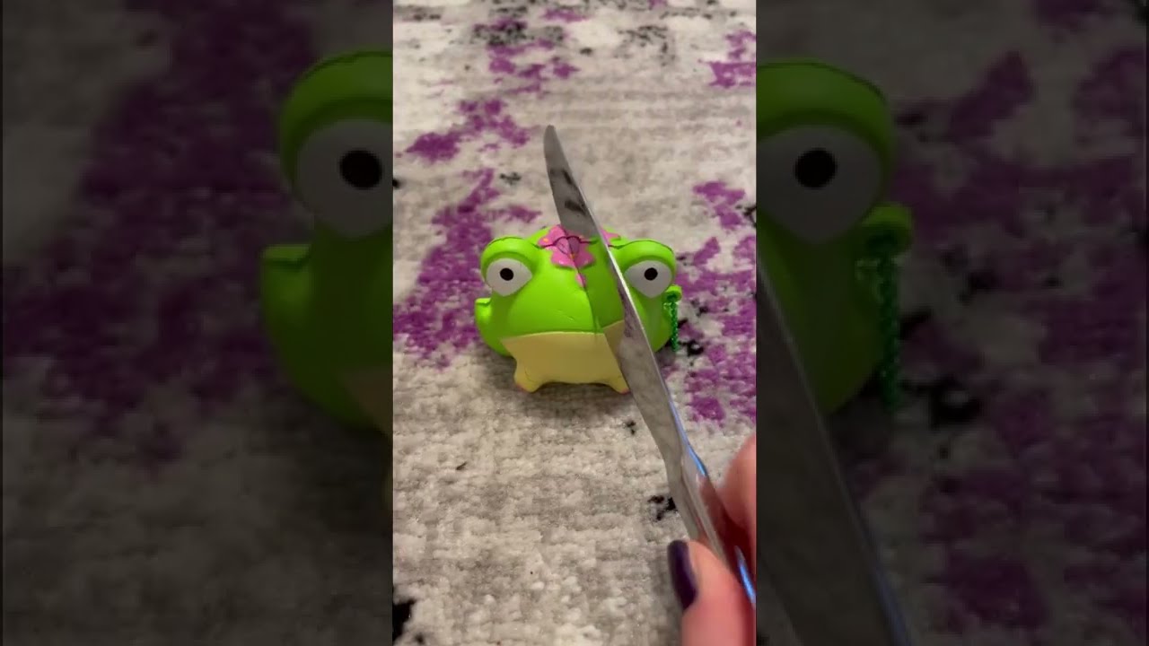 Fidget CUTTING?!😱 Cutting Fidget Toys 😳 ️ - YouTube