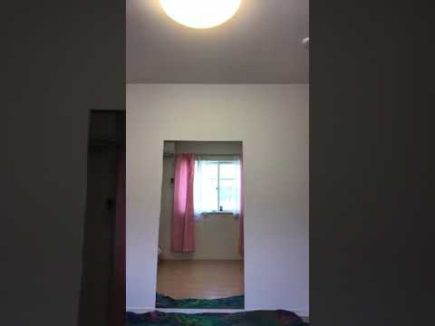 Patricia Belly Dance