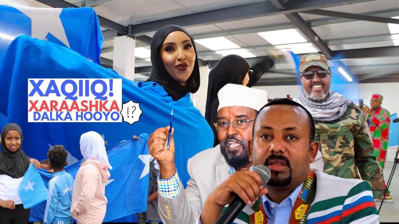Axmed Daahir X M Dalmar | SOOMAALIYEED HOOY | DIFAACA DALKA HOOYO ...