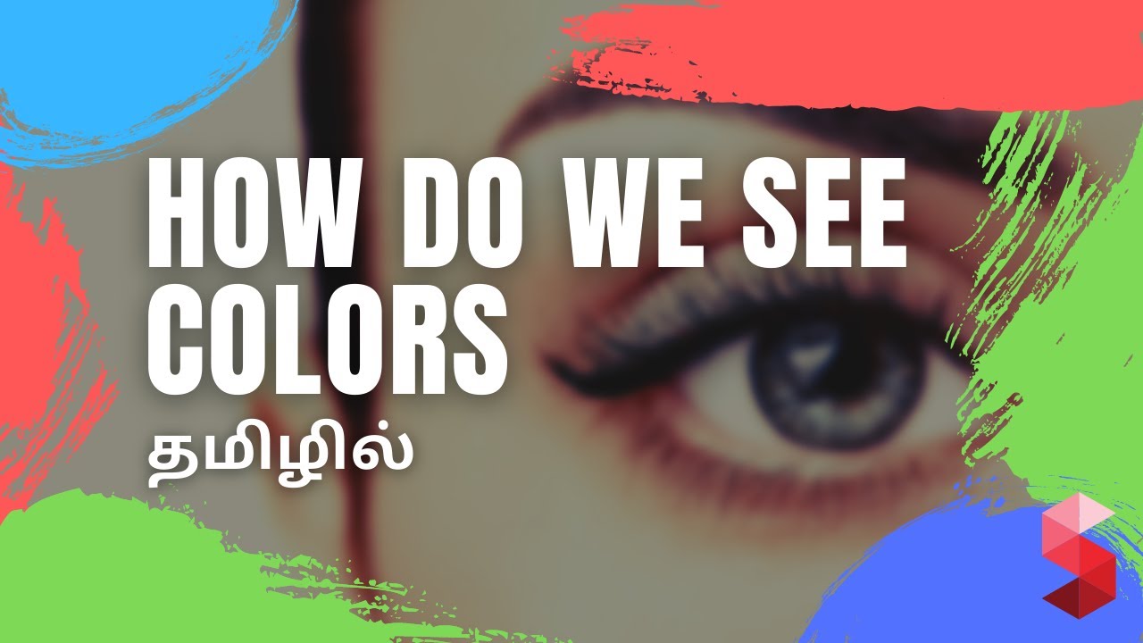 How Brain See Real Life Colors Tamil - What is Color Constancy ...