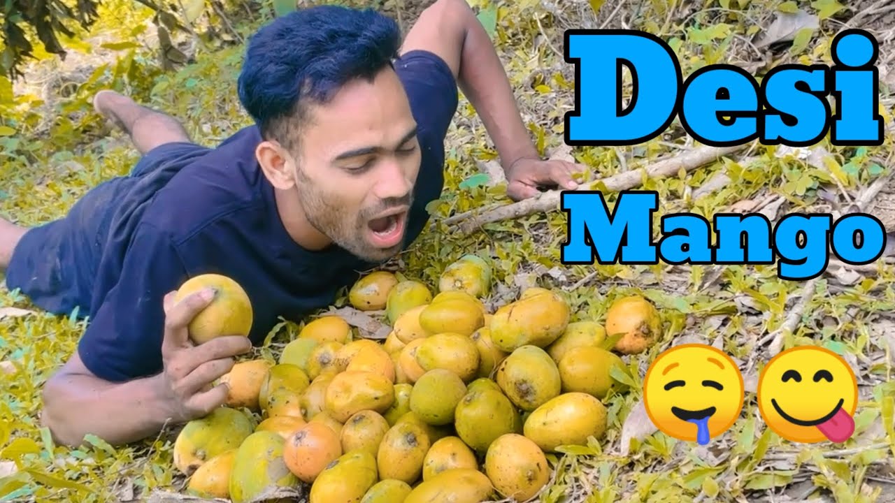Village Vlog 🥭🥭 || Desi Mango🥭🤤 || Video 2023 || Sanjoy Ka Vlog - YouTube