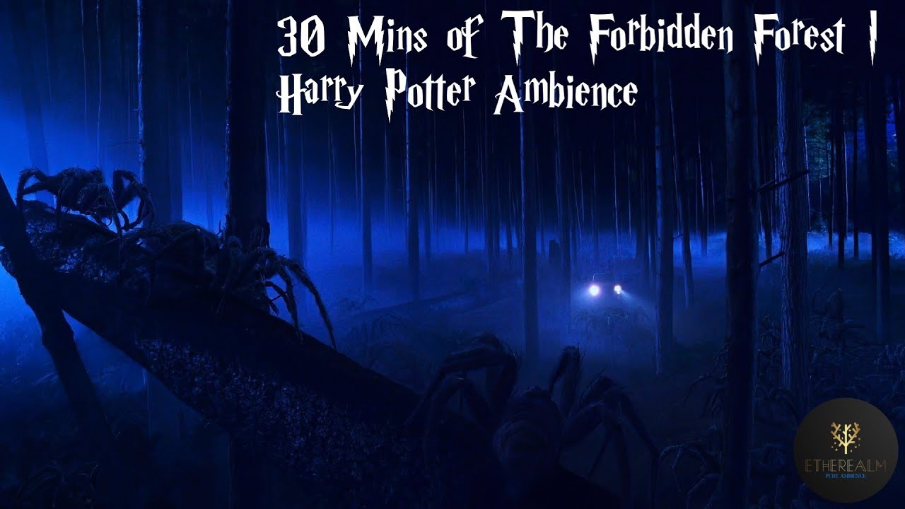 Forbidden Forest Ambience | 30 Minutes of Spooky Atmosphere | Hogwarts ...