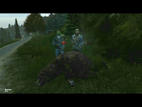 DayZ Encounters - BEAR!!! - YouTube