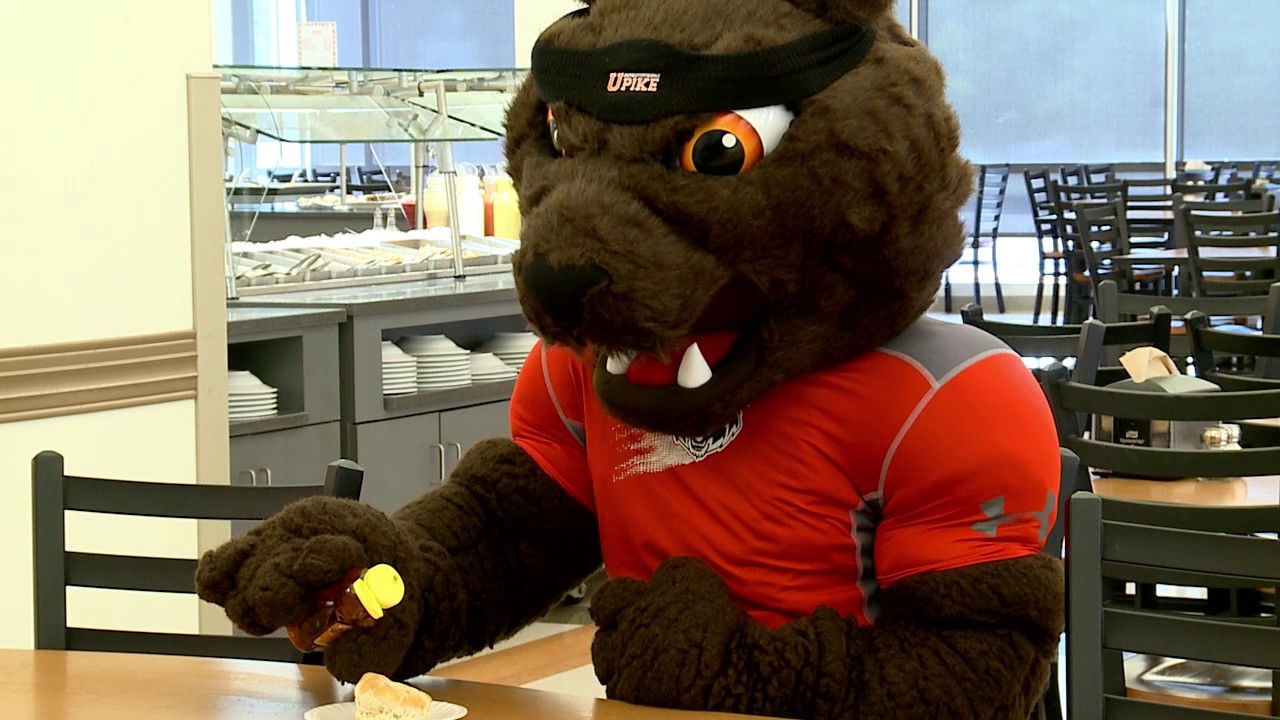 UPIKE Campus Summer 2017 - YouTube