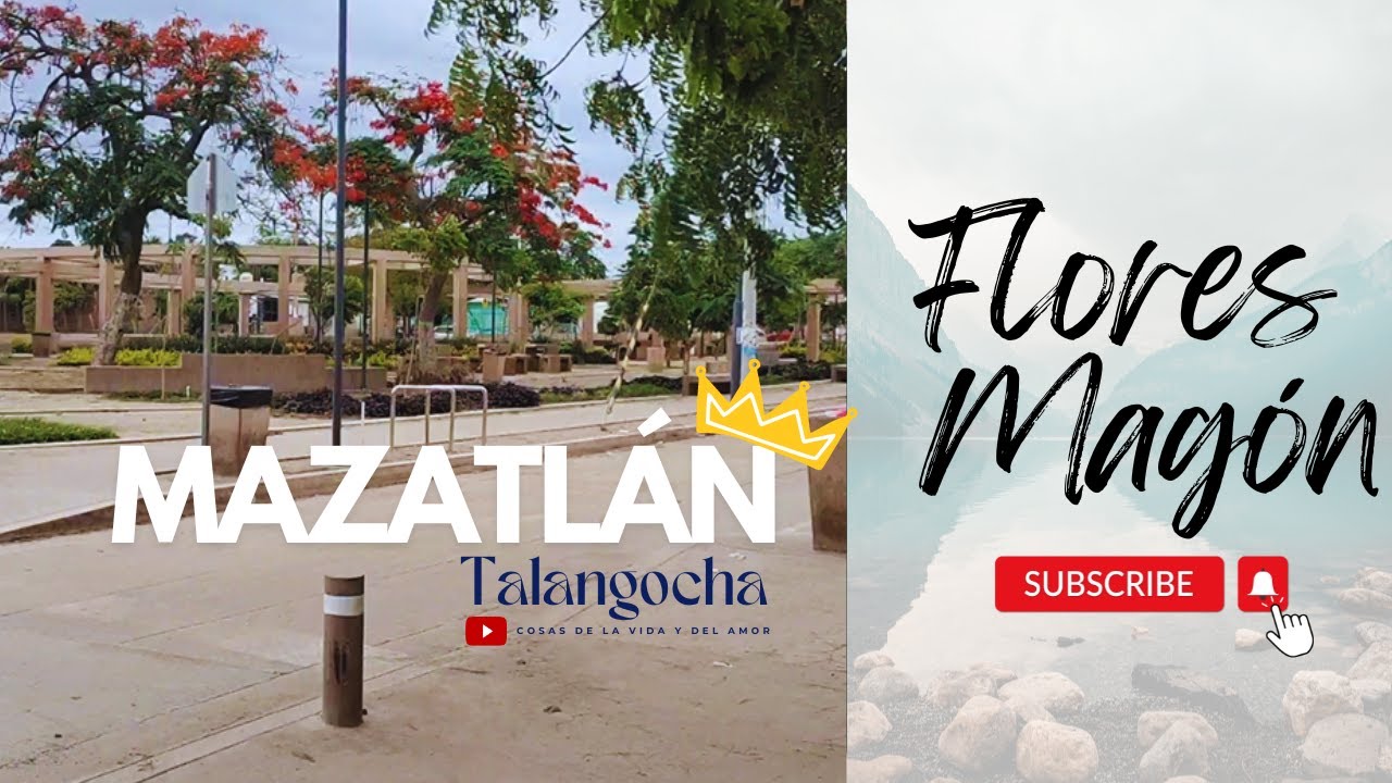 Colonia Flores Magón | Mazatlán - YouTube