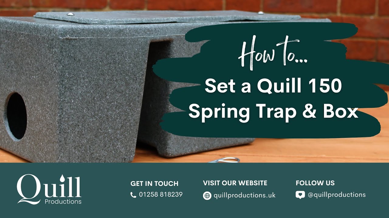 HOW TO: Set a Quill 150 Spring Trap with a Quill 150 Trap Box - YouTube