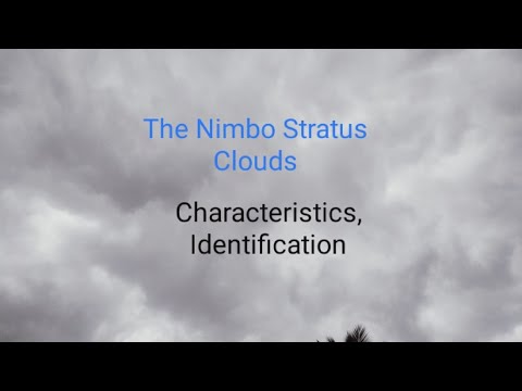 How to Identify Nimbo Stratus Cloud ।। Types of Cloud ।। निम्बो ...