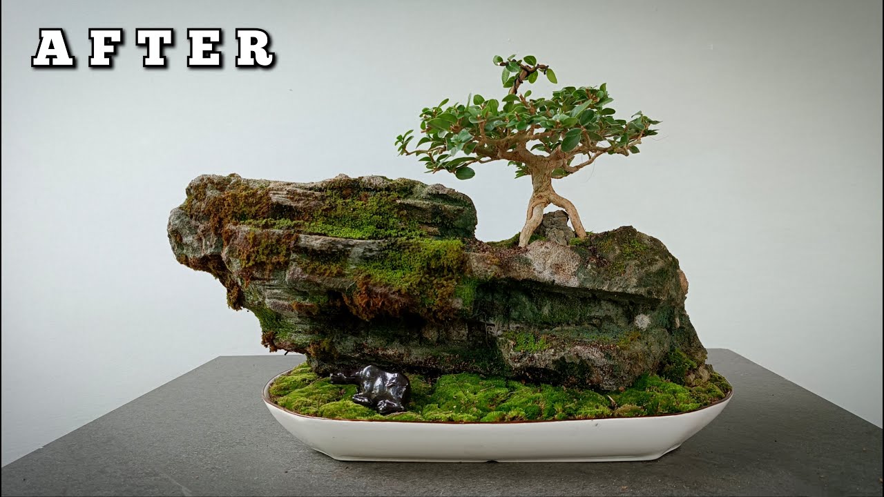 Process Of Making Coral Rock For Bonsai Planting | Bonsai Edit - YouTube