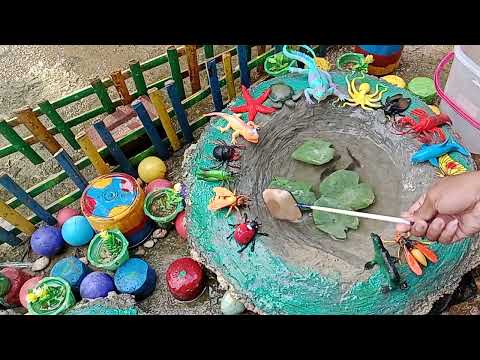 Catching Strange Fish In Tiny Pond, Turtle, Flowerhorn Fish, Ping Pong ...