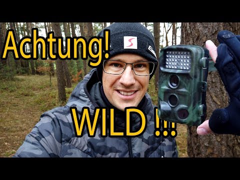 Wildkamera Fotofalle 📸 Was muss ich beachten | meine Tipps!