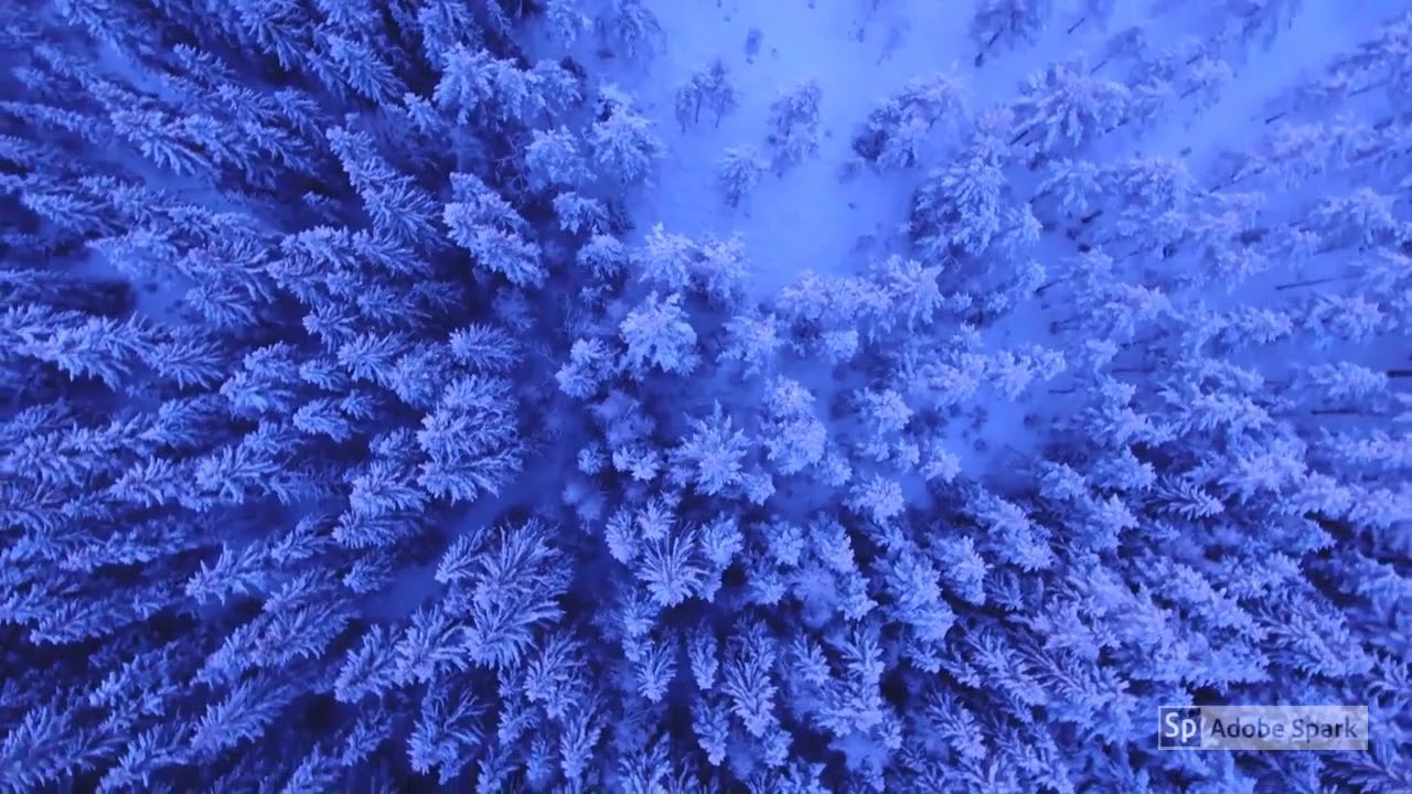 The NorCal Kanuck channel trailer - YouTube