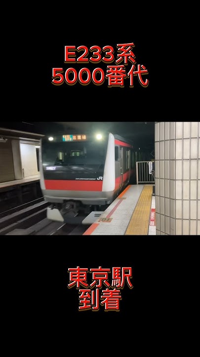 E233系5000番代東京駅到着！#JR東日本#e233系#e233系5000番台#東京駅 - YouTube