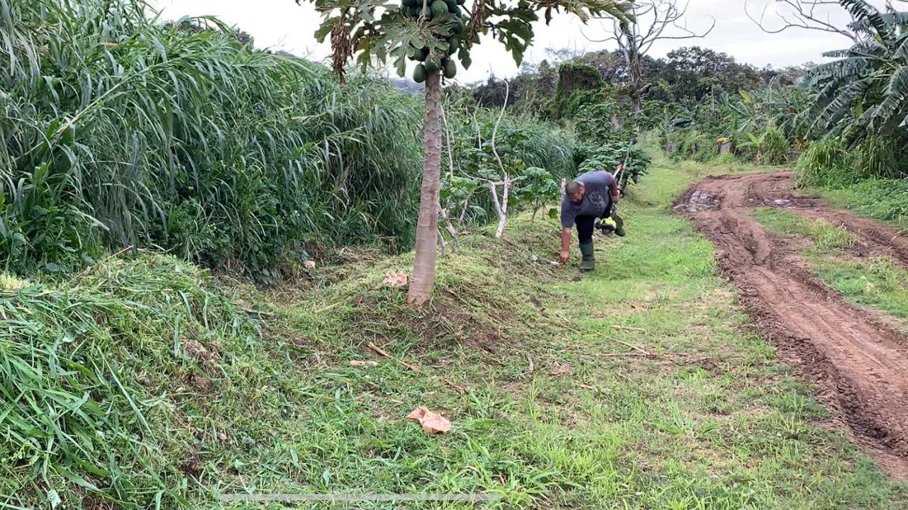 Farm GRASS CUTTING Timelapse - YouTube