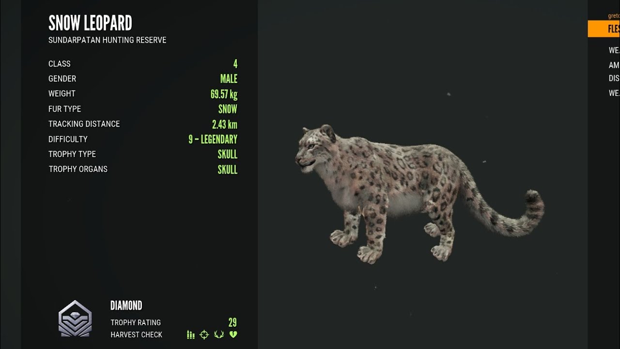 Diamond Snow Leopard, The Hunter Call of the Wild - YouTube