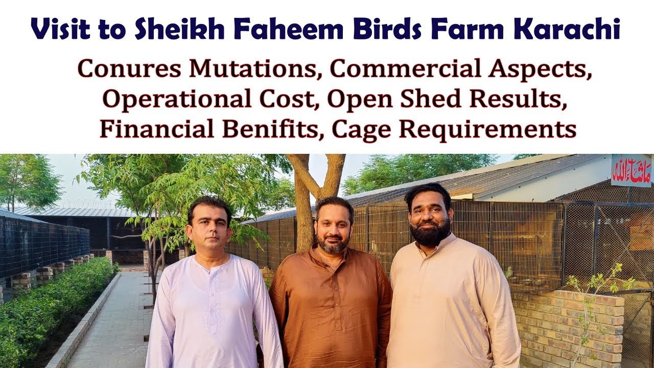Visit of Sheikh Faheem Birds Farm Karachi | Conures | Exotic Birds Farm ...