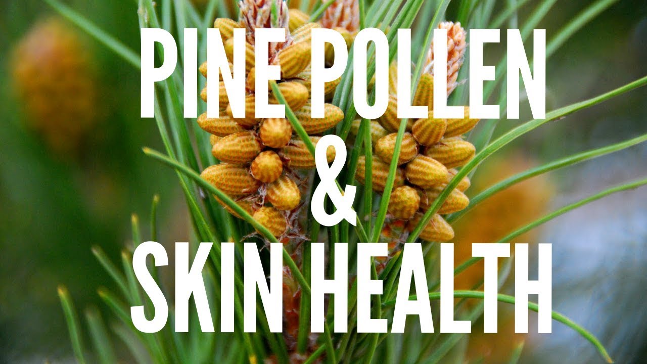 Pine Pollen & Skin Health: Anti-Wrinkle, Skin Brightening & Anti-Aging ...