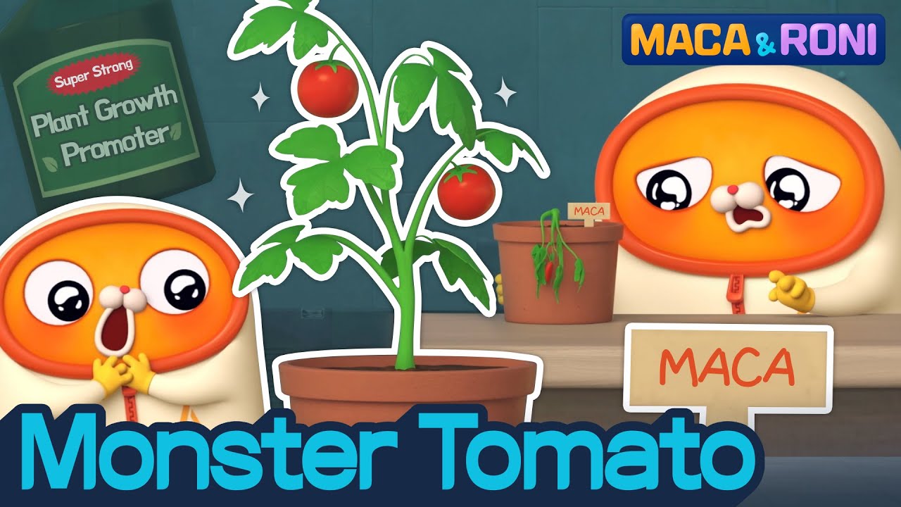 [MACA&RONI] Tomato Monster | Macaandroni Channel - YouTube