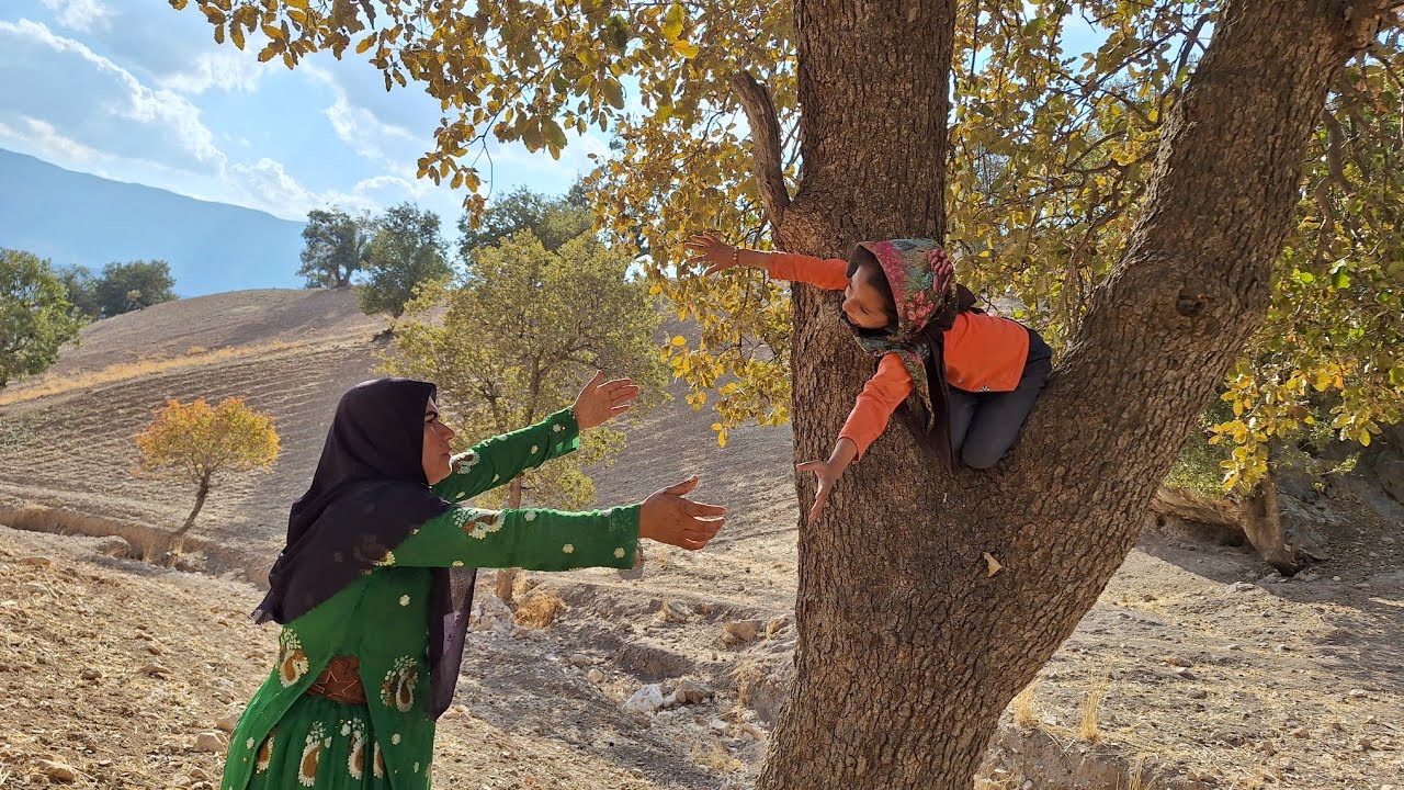 Nomadic Life Unveiled: Balancing Dreams and Hard Work | An Inspiring ...