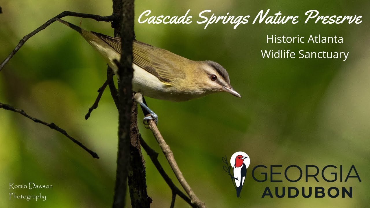 Cascade Spring Nature Preserve Wildlife Sanctuary - YouTube