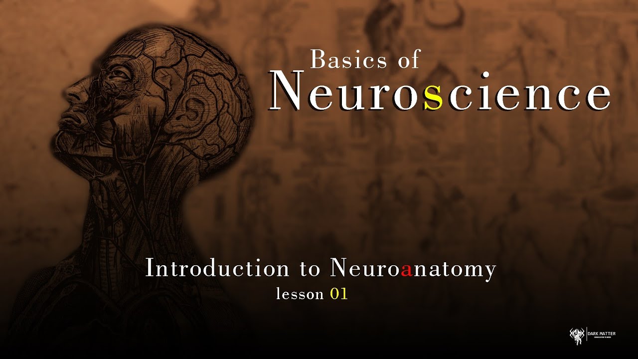 𝐈𝐧𝐭𝐫𝐨𝐝𝐮𝐜𝐭𝐢𝐨𝐧 𝐭𝐨 𝐍𝐞𝐮𝐫𝐨𝐚𝐧𝐚𝐭𝐨𝐦𝐲 | 𝐁𝐚𝐬𝐢𝐜𝐬 𝐨𝐟 𝐍𝐞𝐮𝐫𝐨𝐬𝐜𝐢𝐞𝐧𝐜𝐞 𝐂𝐨𝐮𝐫𝐬𝐞 | 𝐋𝐞𝐬𝐬𝐨𝐧 ...