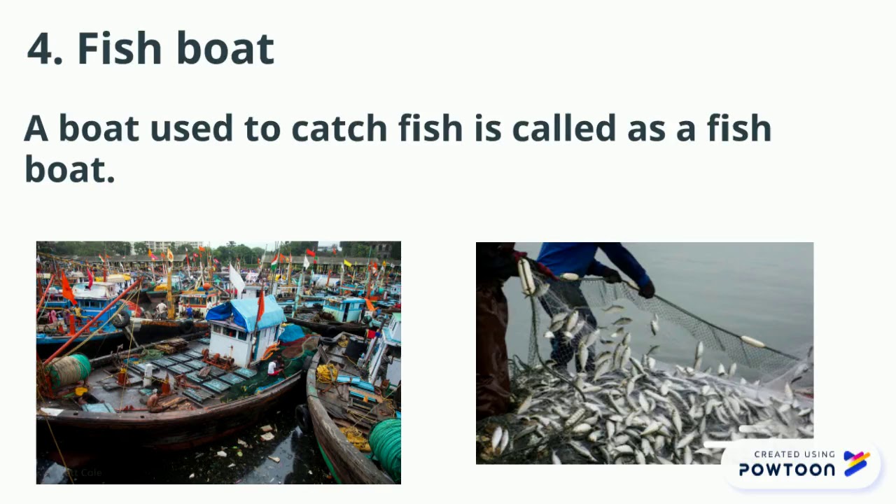 Different types of water transport - YouTube