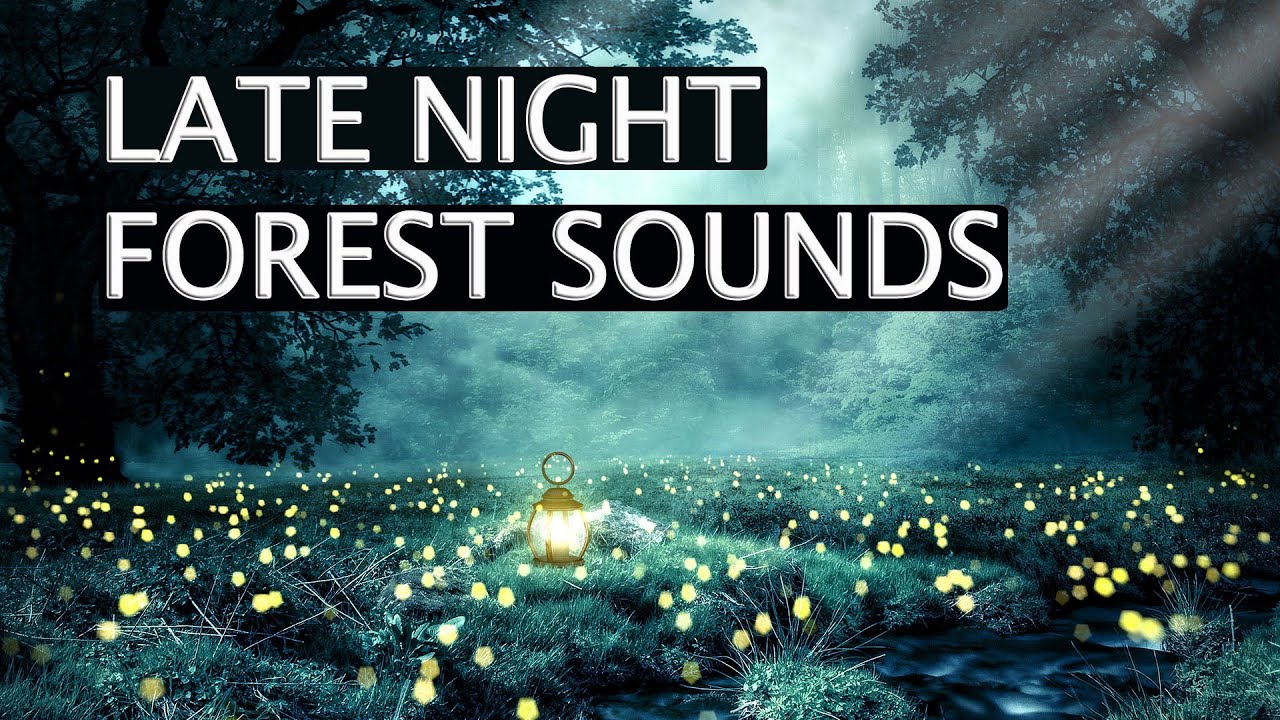 LATE NIGHT FOREST SOUNDS / PEACEFUL SLEEP/ RELAXATION / WHITE NOISE ...