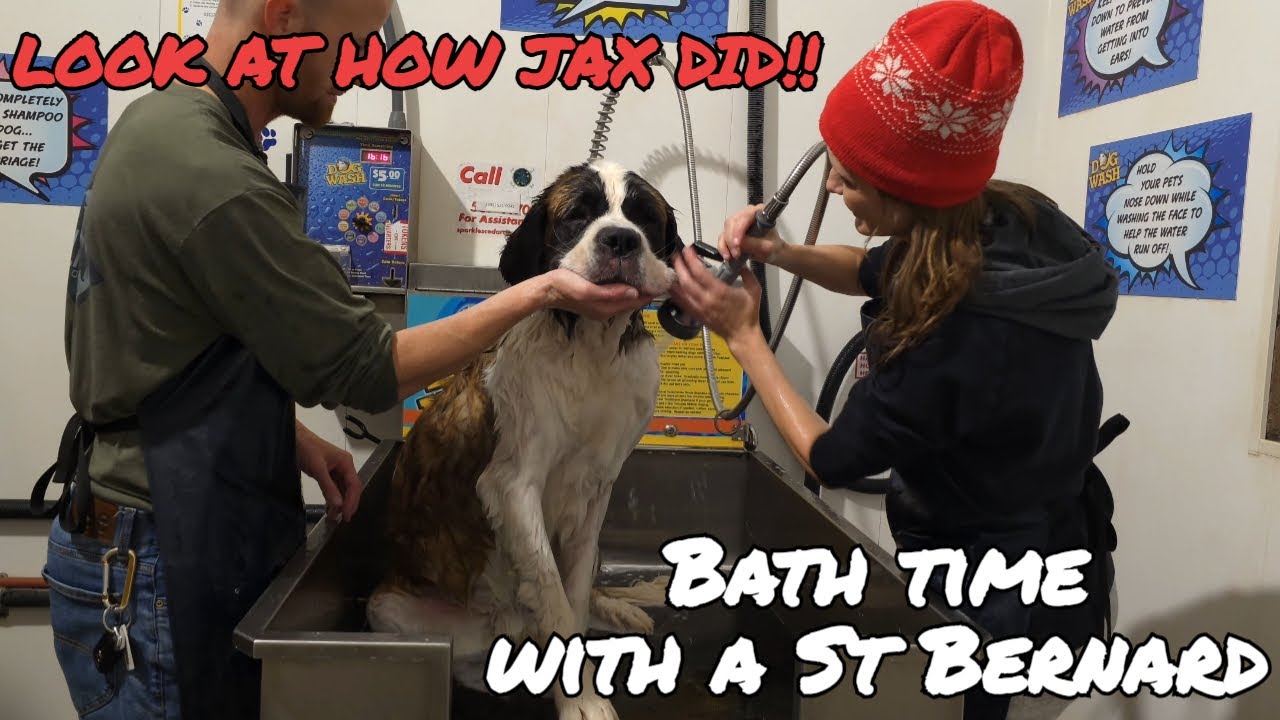 You Won't Believe Jax's FIRST Bath Experience! - YouTube