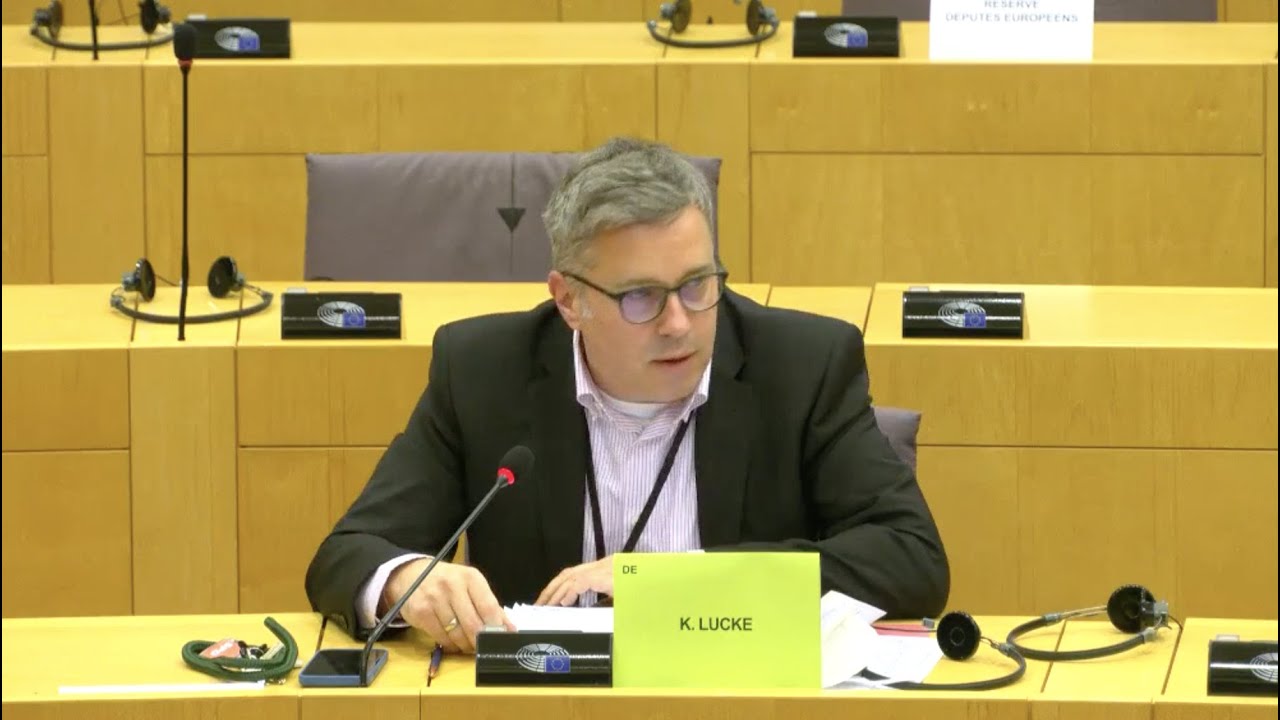 AFET & DEVE committee joint session on Burkina Faso and Mali - YouTube