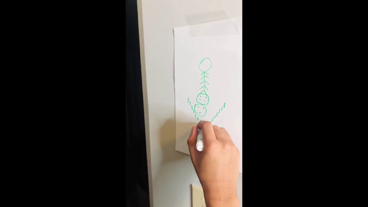 BGCD At Home: Draw Me Challenge with Ariana! - YouTube