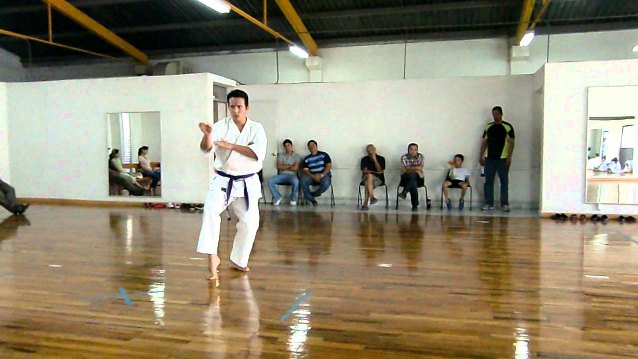 sho rin ryu seibukan mexico kata seisan jose - YouTube