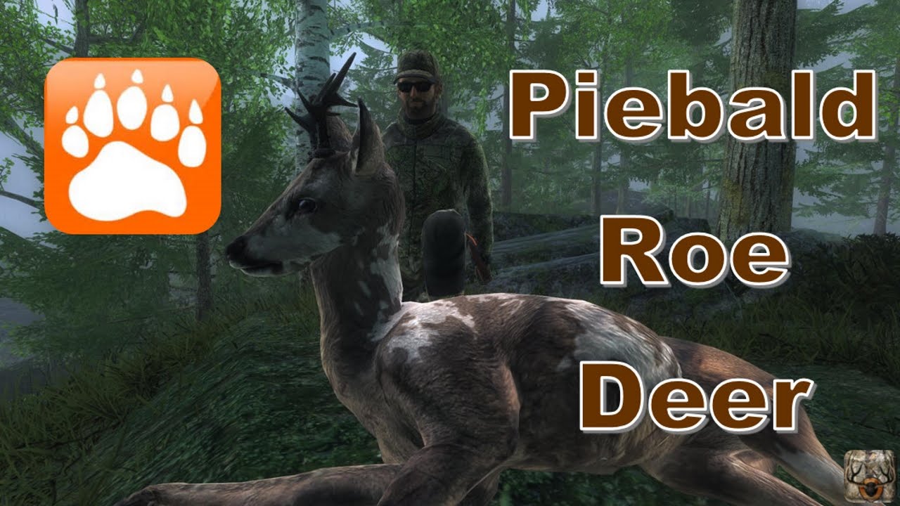 Piebald Roe Deer Buck | theHunter 2016 - YouTube
