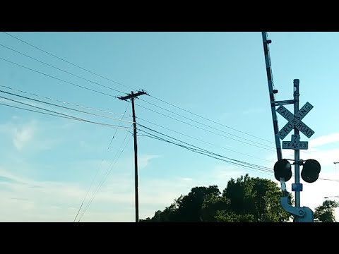 Live Rail Cam Wide World Of Trains - YouTube