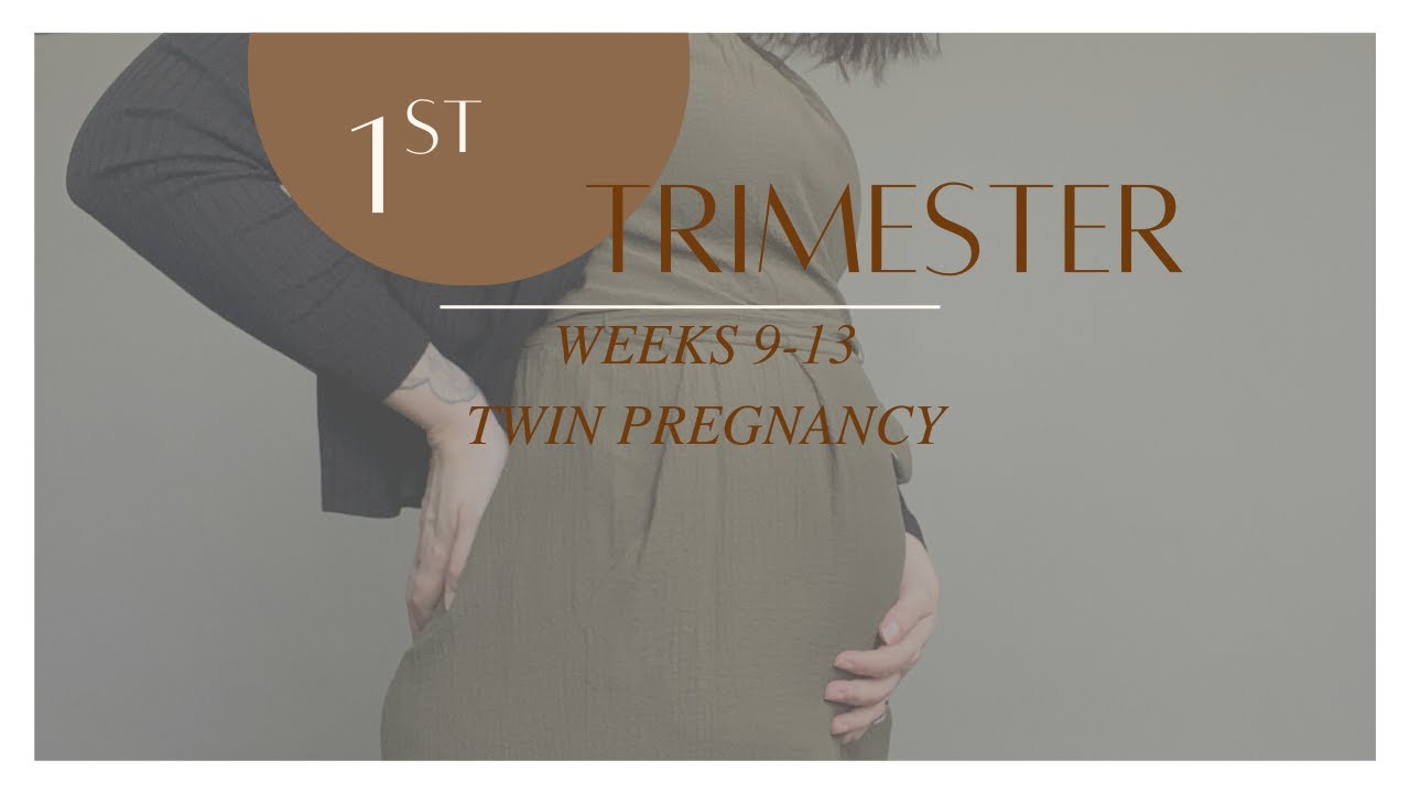 1ST TRIMESTER RECAP| 1ST TRIMESTER WITH TWINS|TWIN PREGNANCY WEEKS 9-13 ...