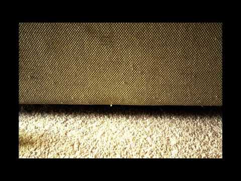 The Great Tomato Chase - YouTube