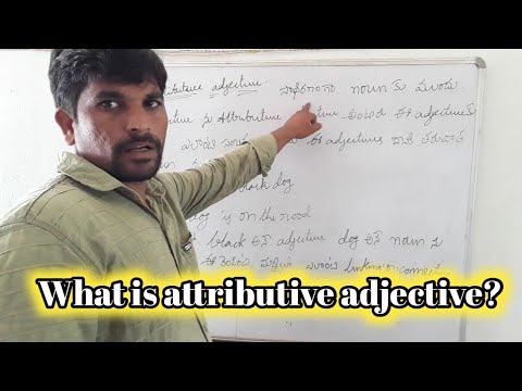 What is attributive adjective on English grammar - YouTube