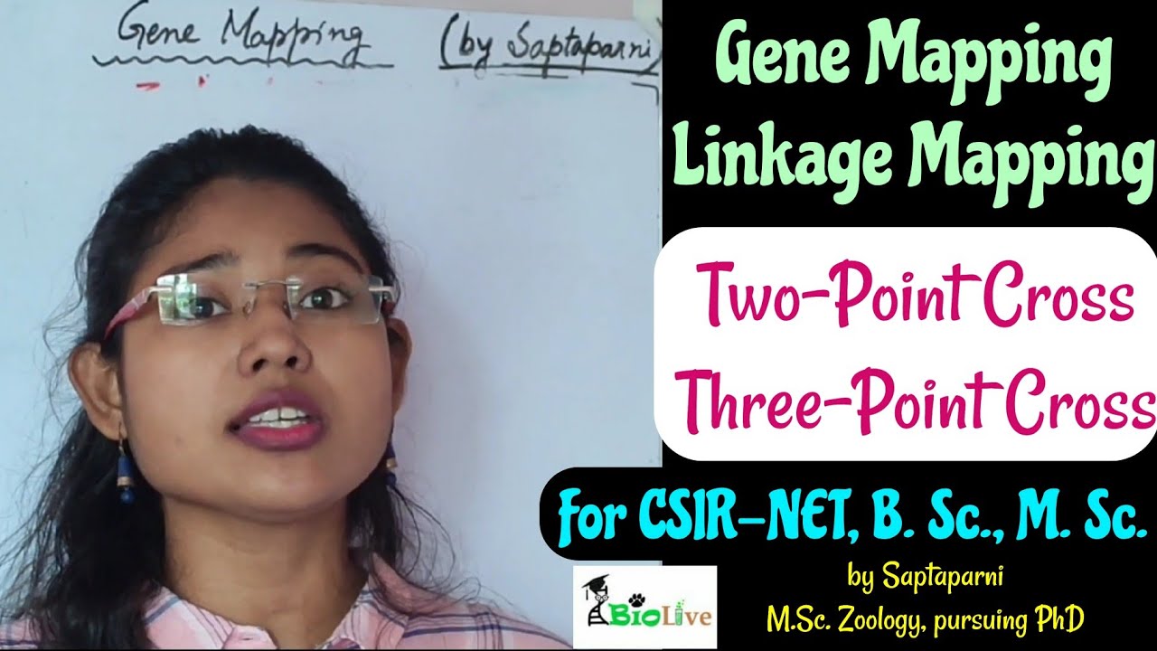 Gene Mapping: Linkage Mapping: Two point cross: Three point cross: CSIR ...