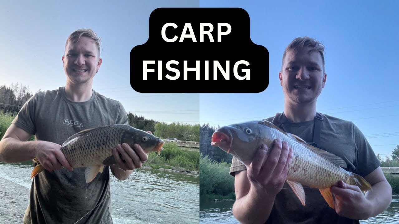 Carp Fishing Fern Ridge Dam - YouTube