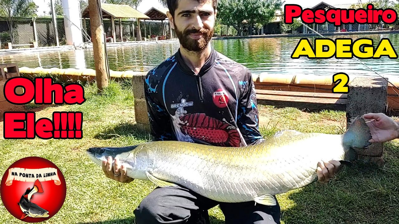 Pesqueiro Adega - Nosso Velho Amigo deu as Caras - Fernandópolis - YouTube