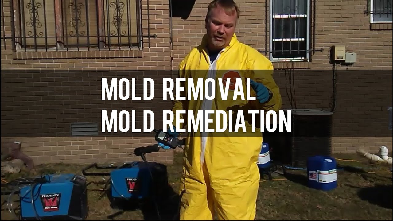 Mold Removal Mold Remediation | Serum Eliminator Mini - YouTube