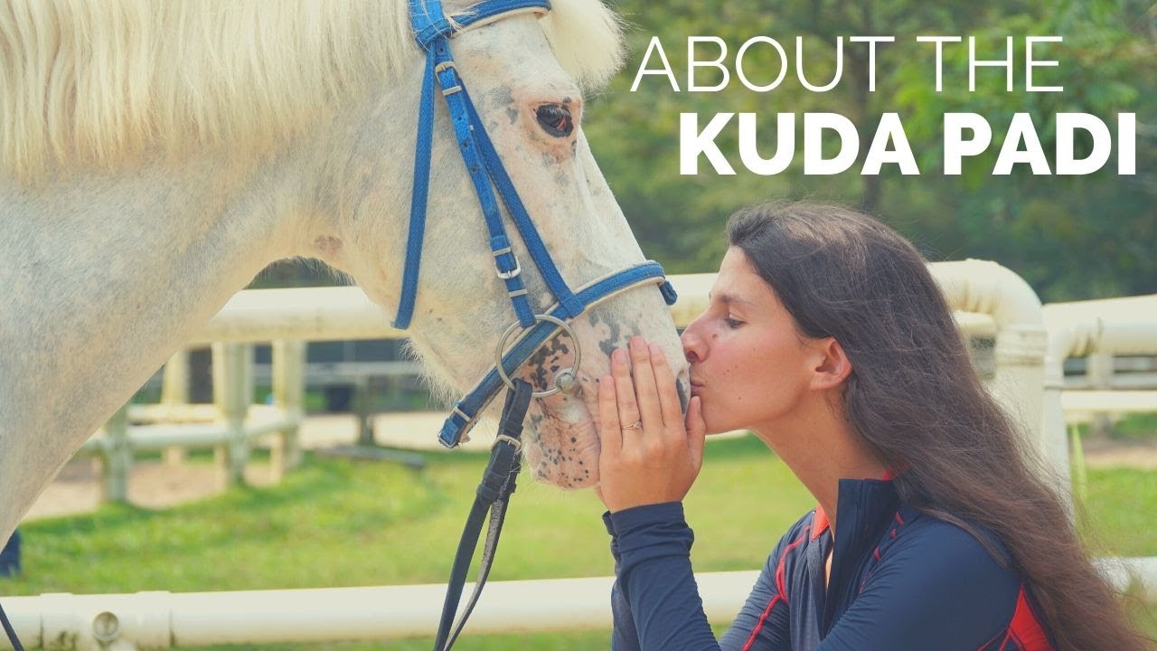 About the Kuda Padi - YouTube