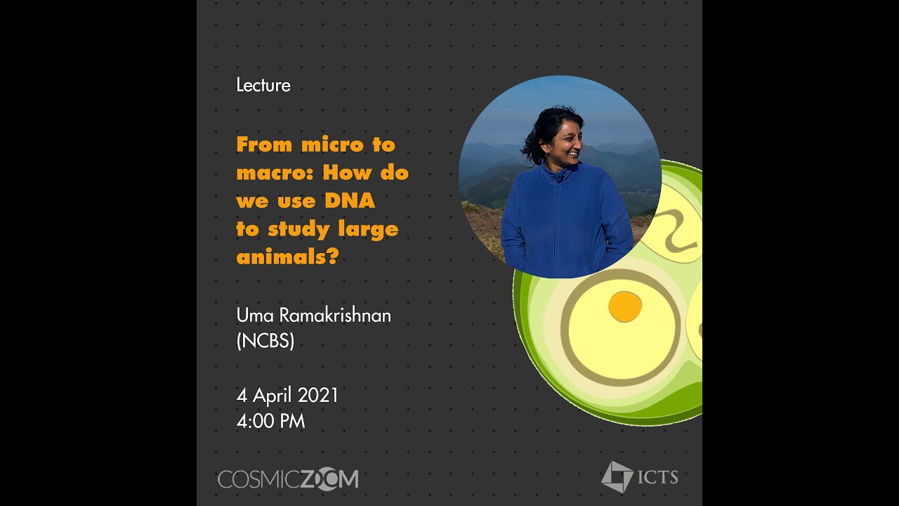 From Micro to Macro: How Do We Use DNA to Study Large Animals Like ...