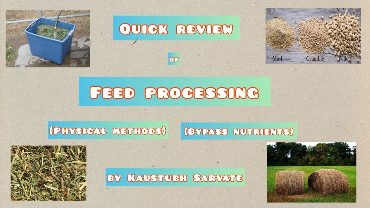 Feed processing (physical methods & bypass nutrients) |ANN| by Kaustubh ...
