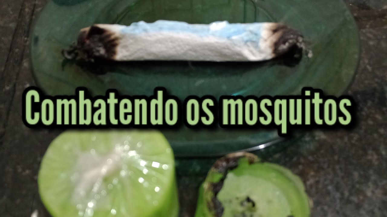 RECEITA PARA MATAR MOSQUITO NA SUA CASA - YouTube
