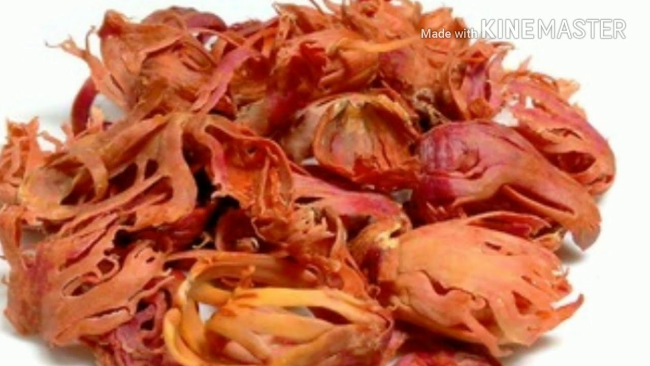 JATHIKAI BENEFITS - YouTube