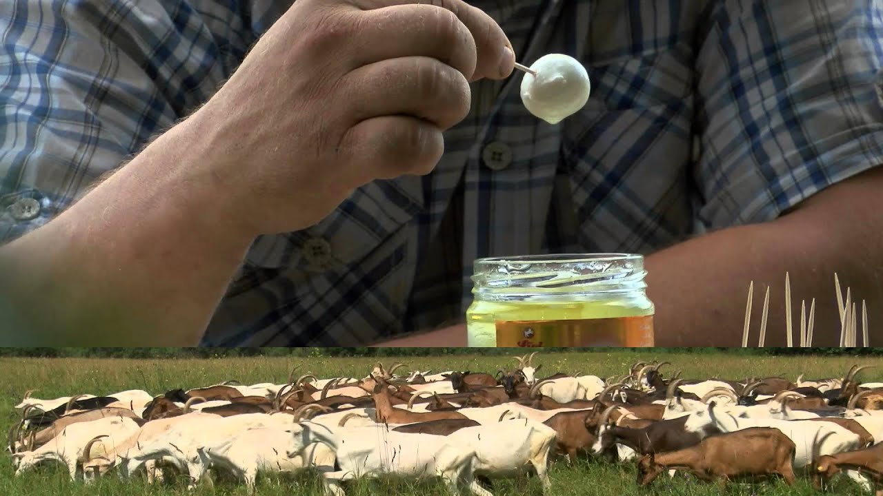 Madonas novads - piedāvājums gardēžiem - YouTube