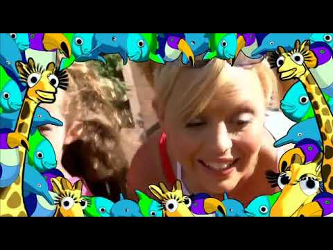 Hi-5: Surfing Safari - YouTube