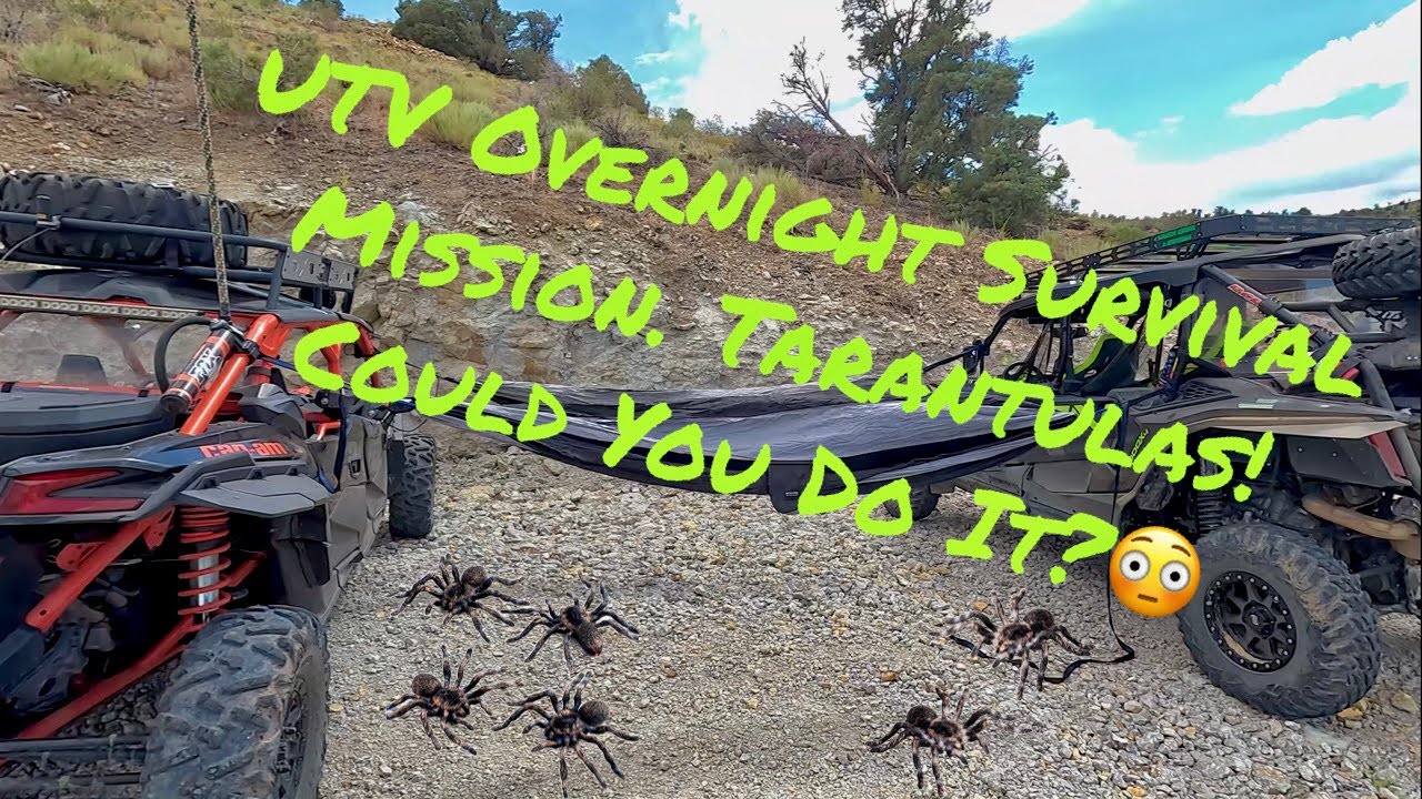 UTV Survival Mission. Tarantulas! Could you do it?😳 - YouTube